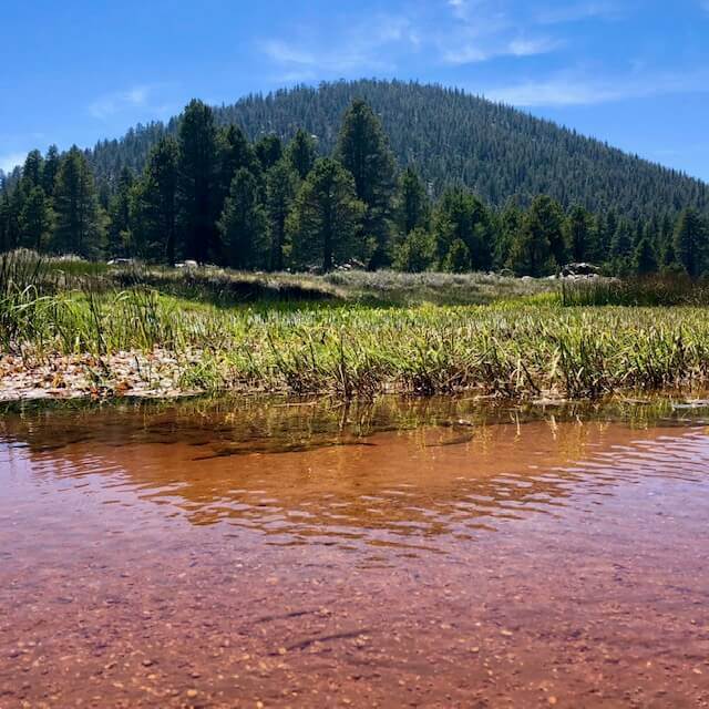 Monache Meadows | EFOutfit